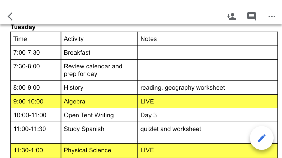 Working Full time and Homeschooling - Survival Guide and Tips